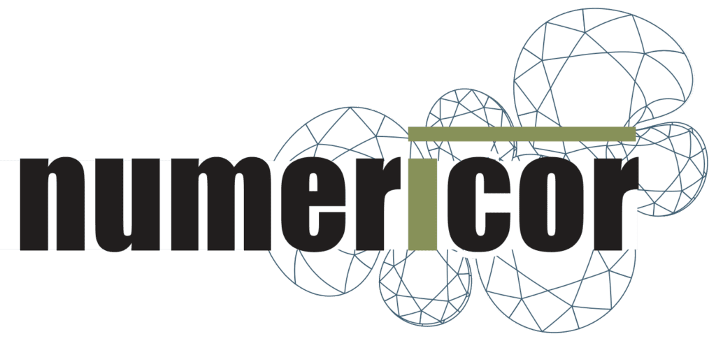 Success story NumeriCor - EDI - humantechnology styria gmbh